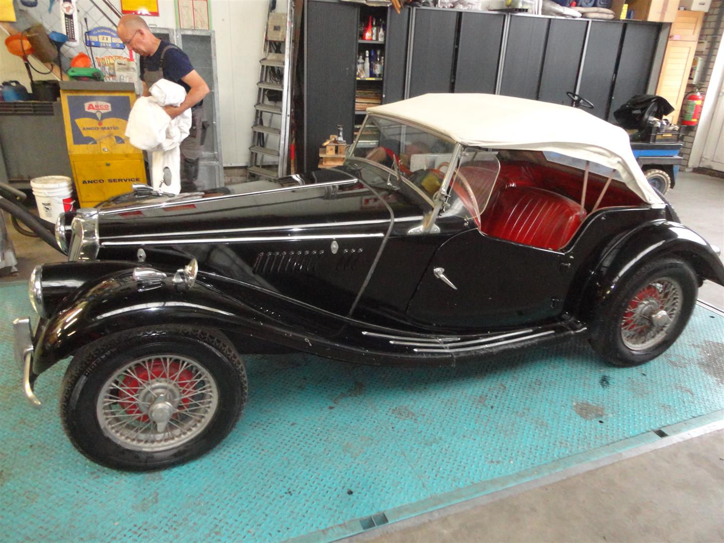 MG-TF '54 | Joop Stolze Classic Cars